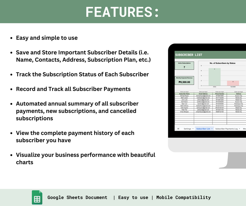 Monthly Subscription Business Payments Tracker – Spreadsheets PH