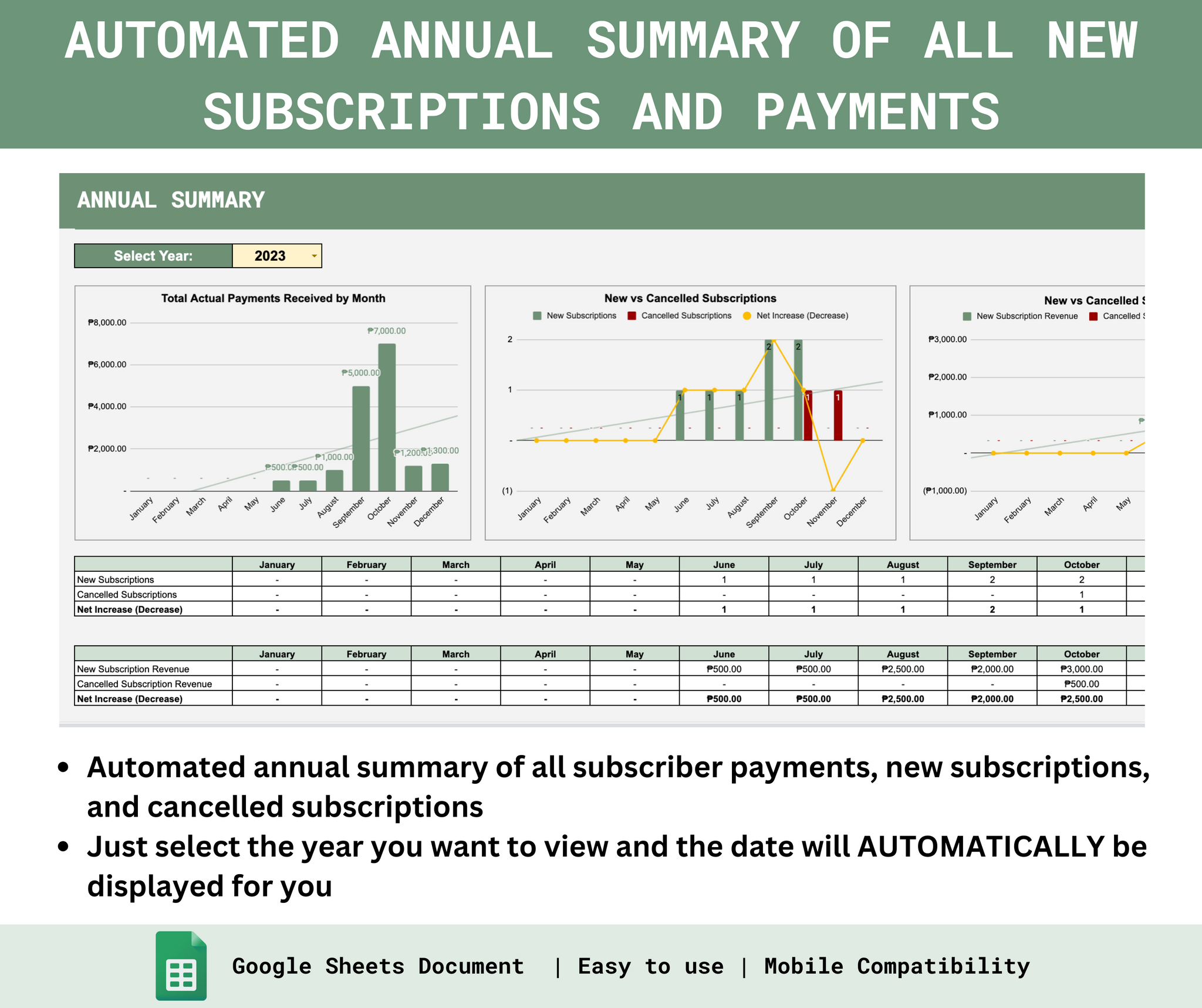 Monthly Subscription Business Payments Tracker – Spreadsheets PH